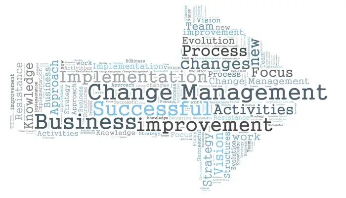 Management of Change - Effective Transition Strategies